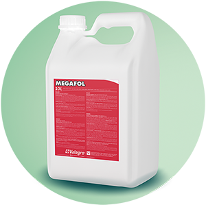Address the Stress | Syngenta Biologicals
