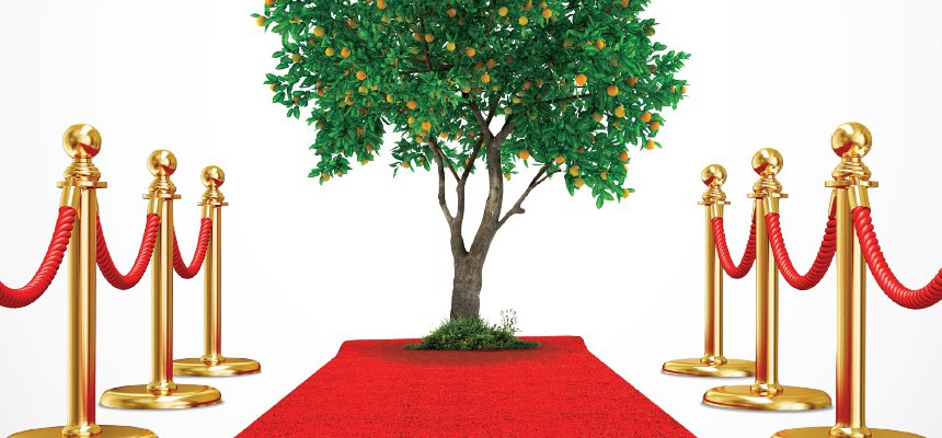 Valagro launches Master Supreme in China | Syngenta Biologicals