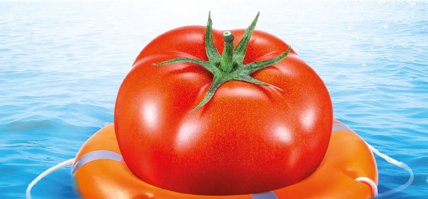New RETROSAL® from Valagro arrives in Brazil | Syngenta Biologicals