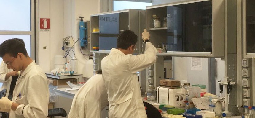 The new PlantLab, from the collaboration between Valagro and Sant'Anna ...