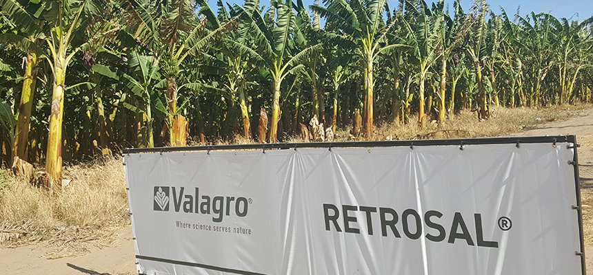Valagro launches biostimulant RETROSAL in Brazil | Syngenta Biologicals
